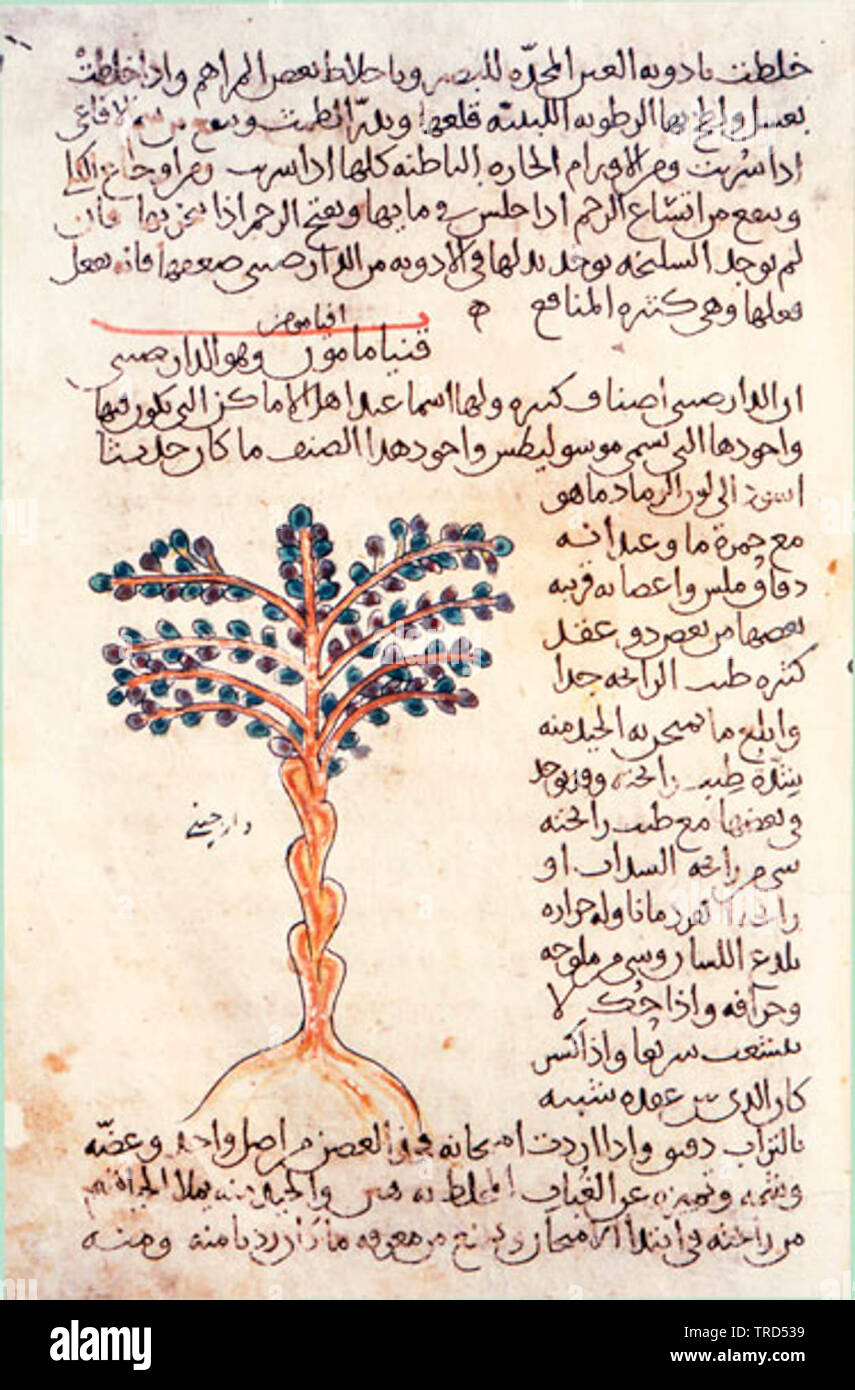 Arabic Manuscript High Resolution Stock Photography and Images - Alamy