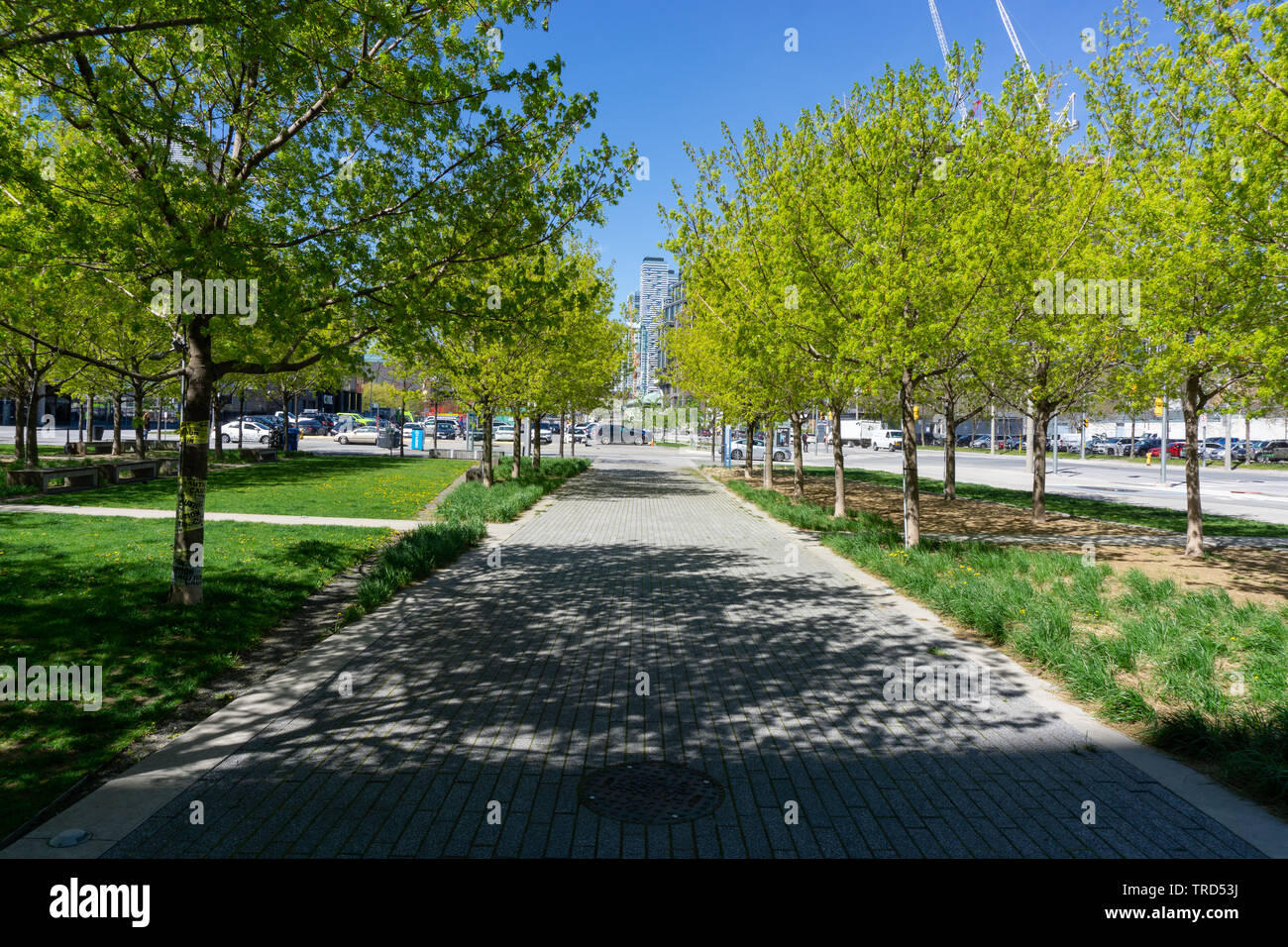 During the summer, Toronto transforms into a multitude of green parks ...