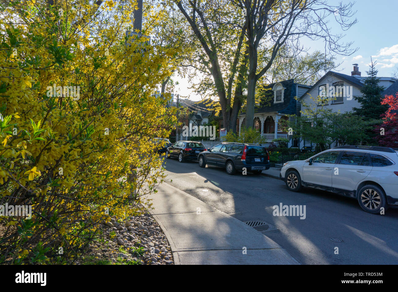 Central toronto neighbourhood hi-res stock photography and images - Alamy
