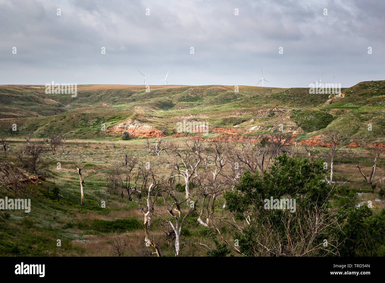 Clark County, KS Stock Photo - Alamy