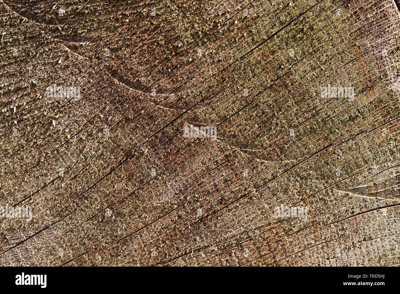 Close up view on detailed wooden plank and log surfaces in high ...