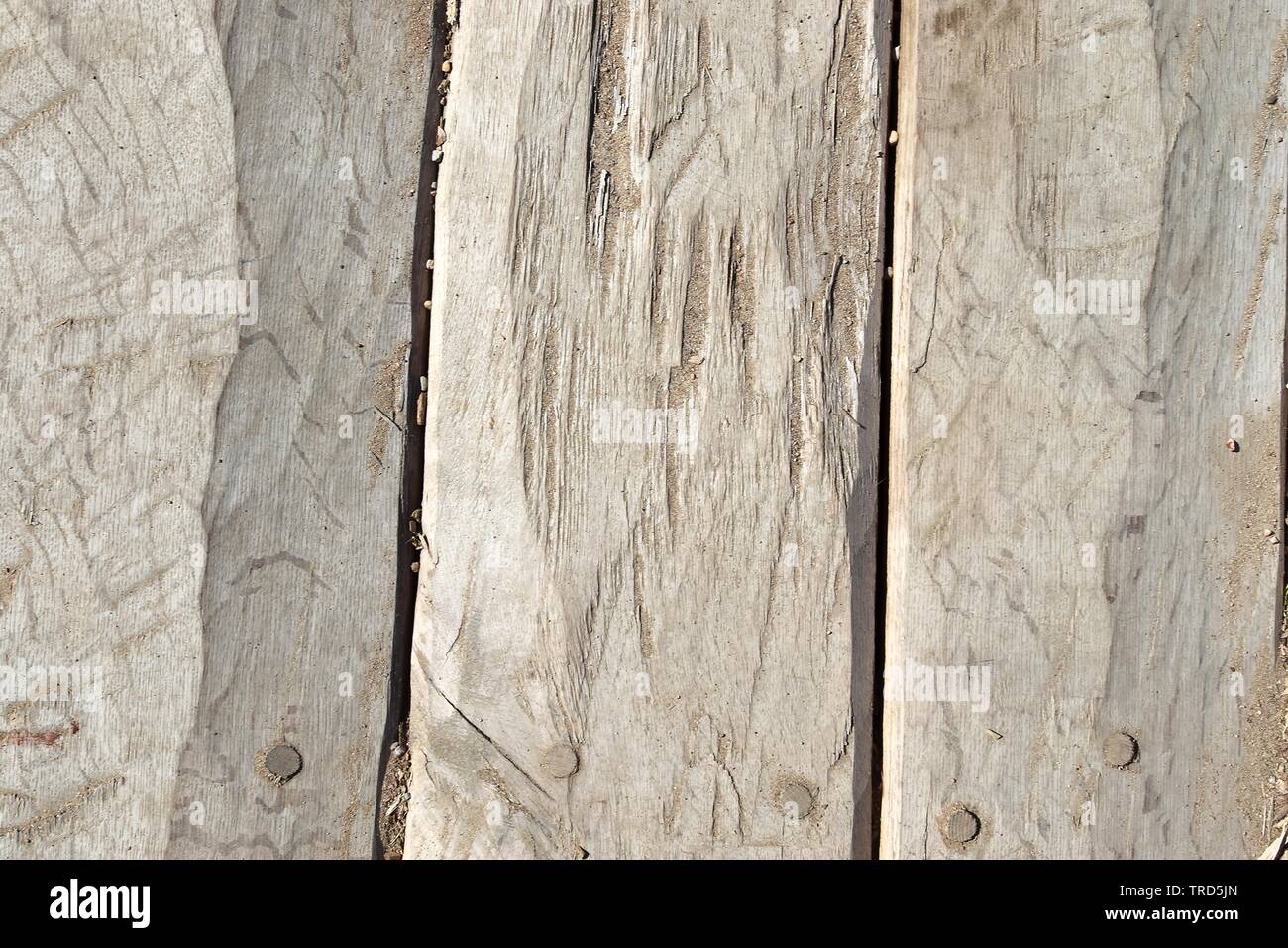 Close up view on detailed wooden plank and log surfaces in high ...
