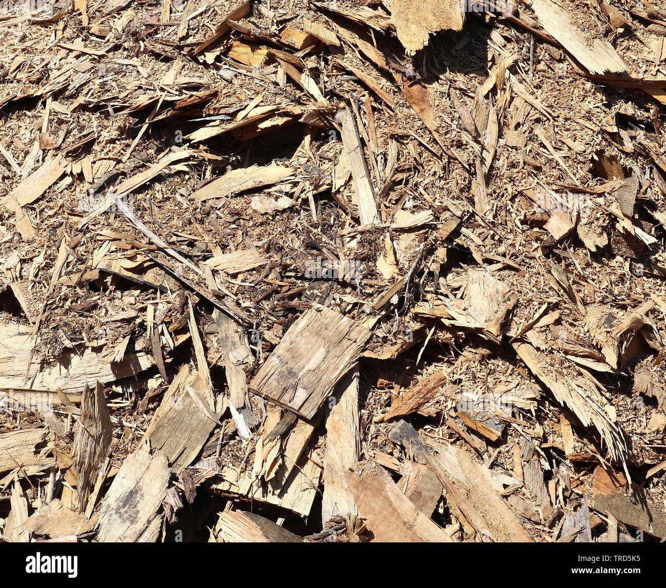 Close up view on detailed wooden plank and log surfaces in high ...