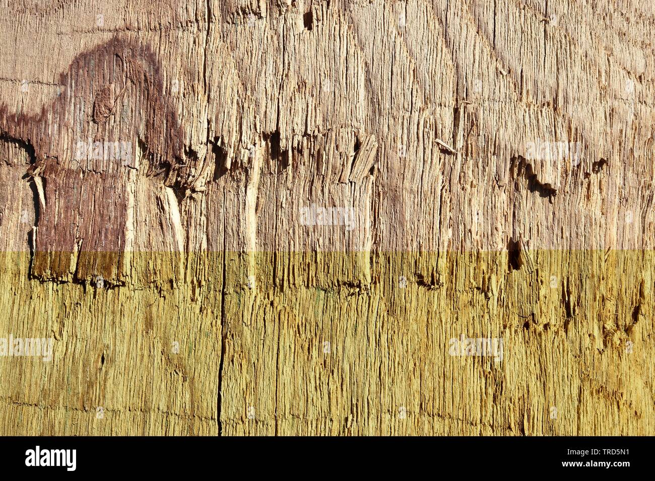 Close up view on detailed wooden plank and log surfaces in high ...