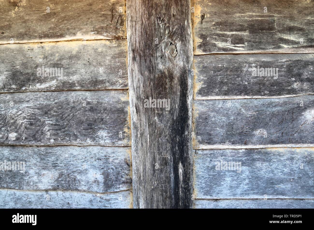 Close up view on detailed wooden plank and log surfaces in high ...