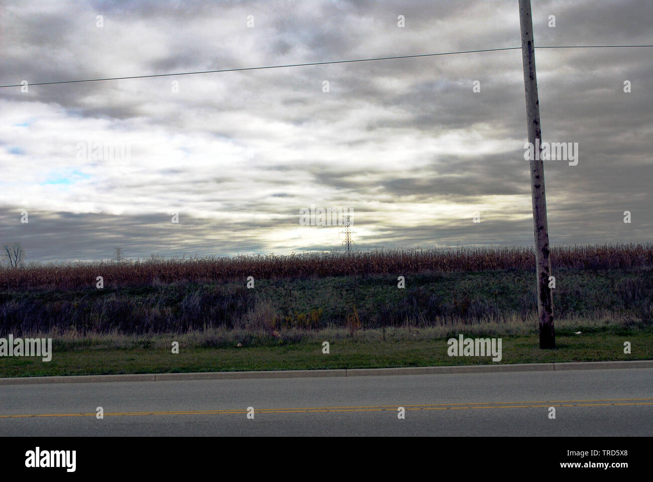 Power line pole at roadside Stock Photo - Alamy