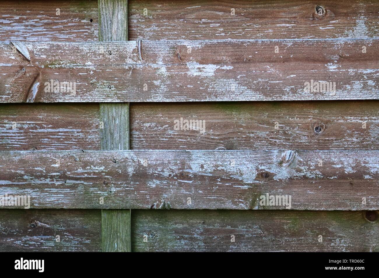 Close up view on detailed wooden plank and log surfaces in high ...