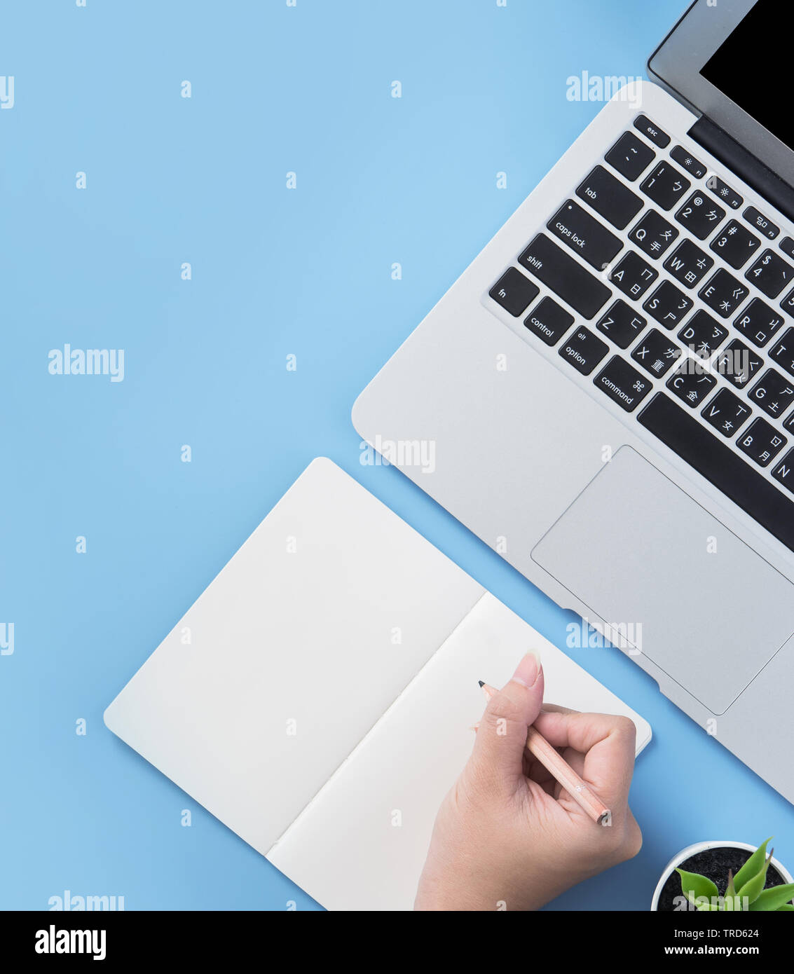 Girl write on open white book or accounting on a minimal clean light ...