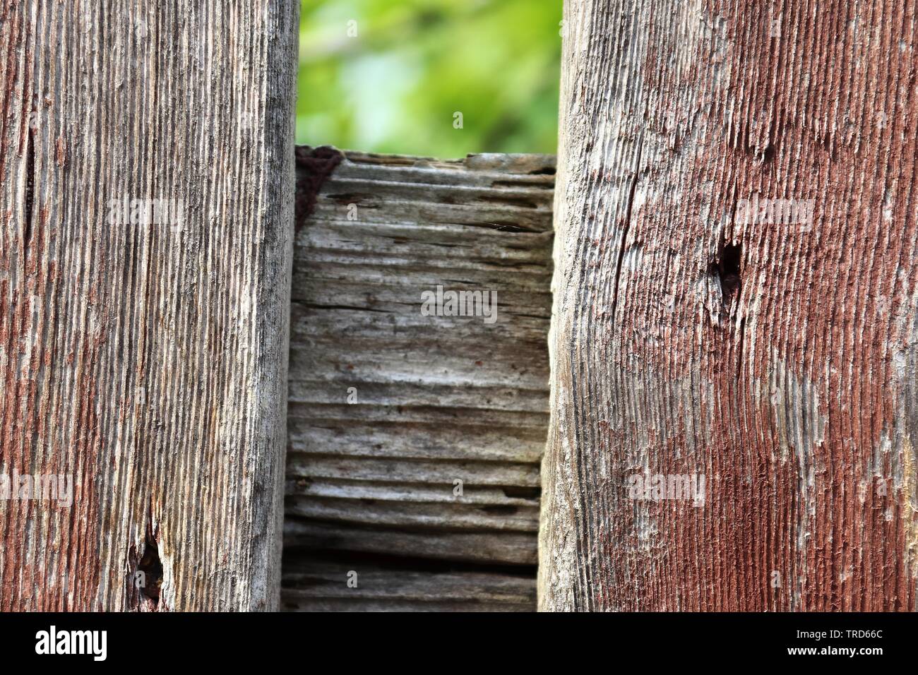 Close up view on detailed wooden plank and log surfaces in high ...
