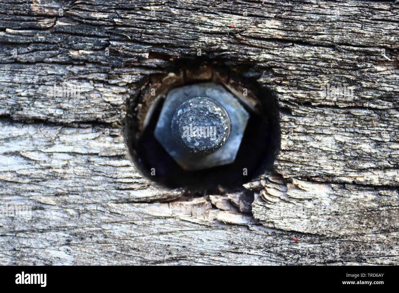 Close up view on detailed wooden plank and log surfaces in high ...
