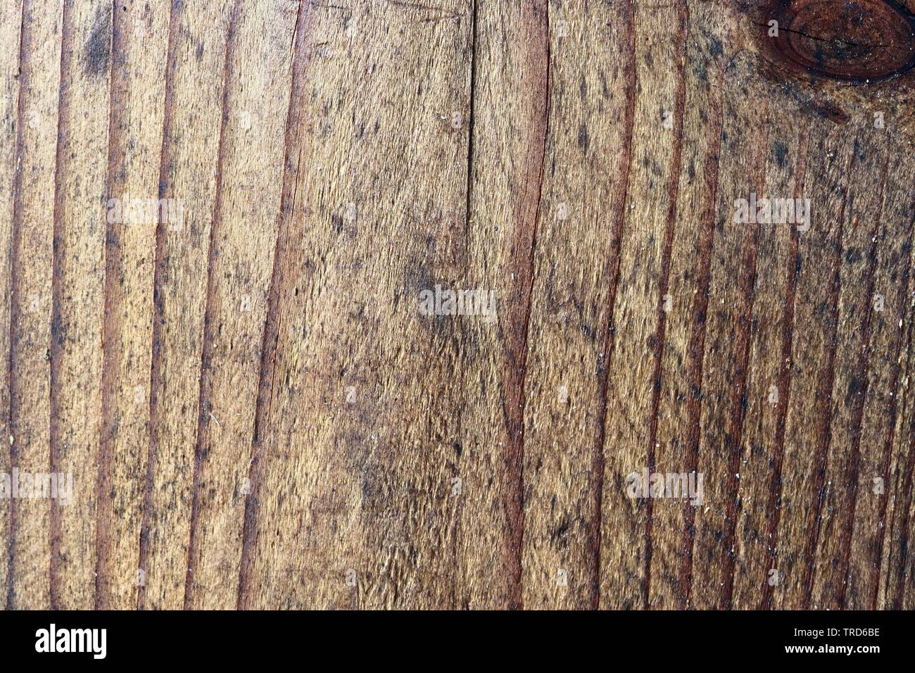Close up view on detailed wooden plank and log surfaces in high ...