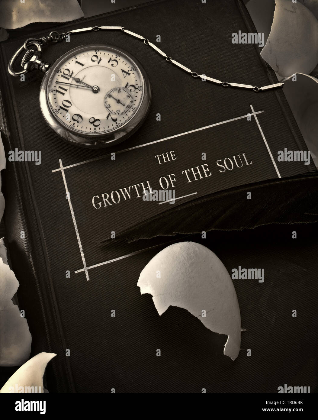 Growth of the Soul Stock Photo - Alamy