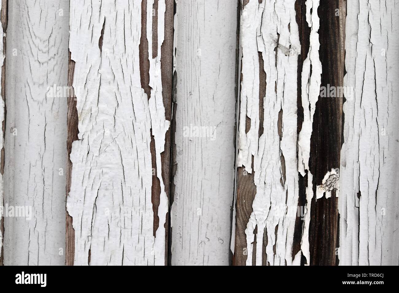 Close up view on detailed wooden plank and log surfaces in high ...