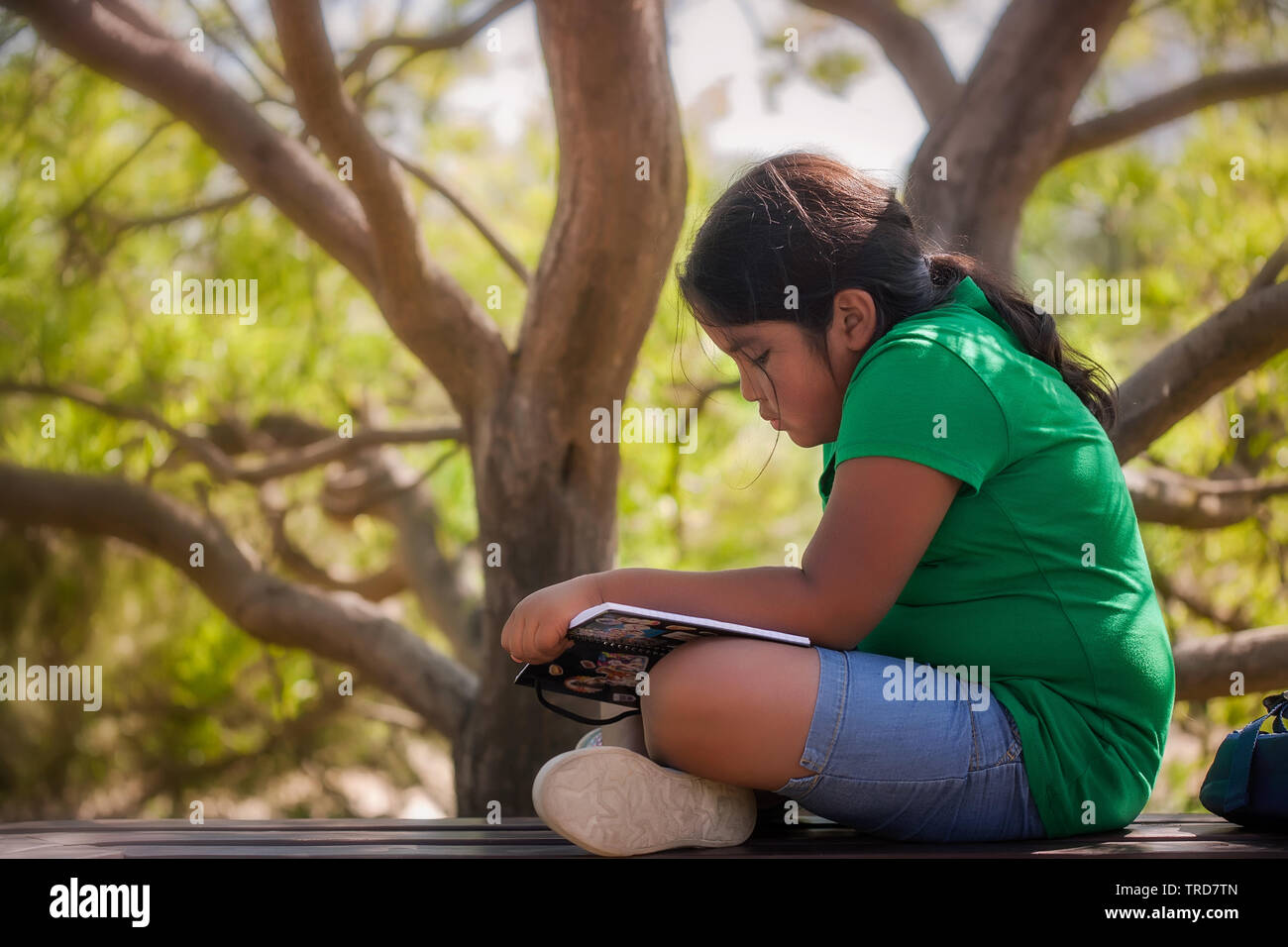 Little Girl Reading A Book Under A Tree