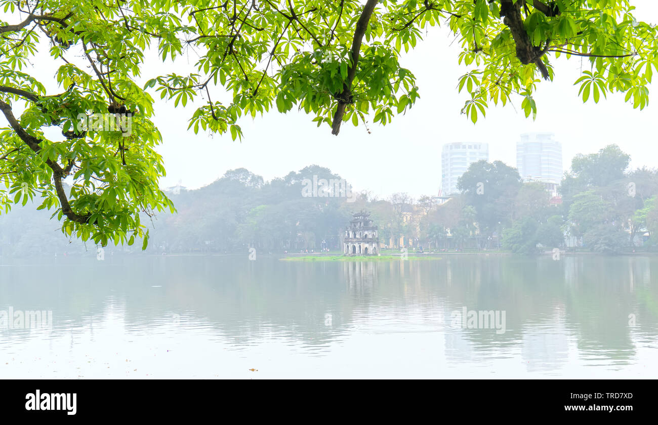 Tree in bud at Hoan Kiem lake in Hanoi Capital, Vietnam with Turtle ...
