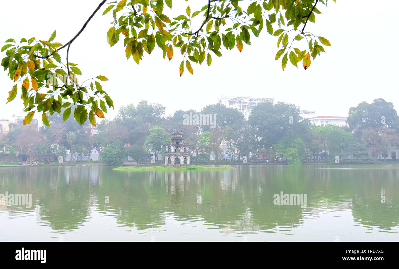 Tree in bud at Hoan Kiem lake in Hanoi Capital, Vietnam with Turtle ...