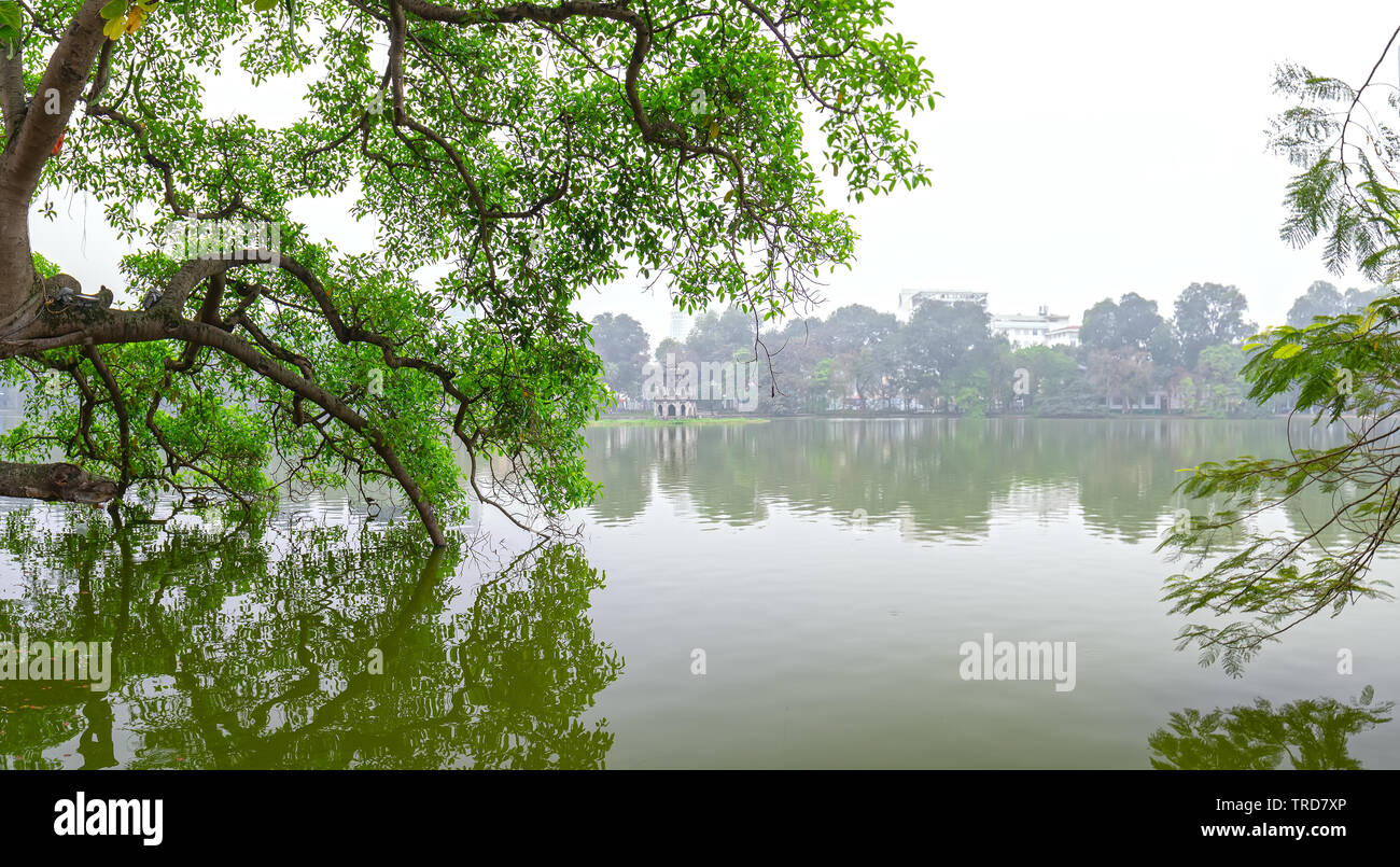 Tree in bud at Hoan Kiem lake in Hanoi Capital, Vietnam with Turtle ...