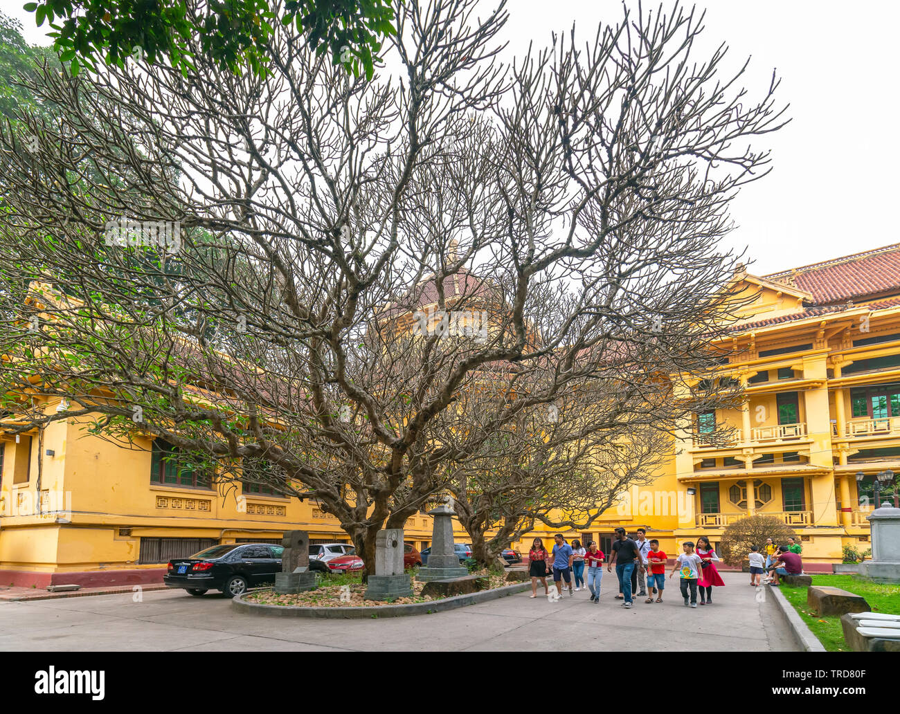 Architecture of Vietnam's national history museum. It is building between 1926 by architect ...