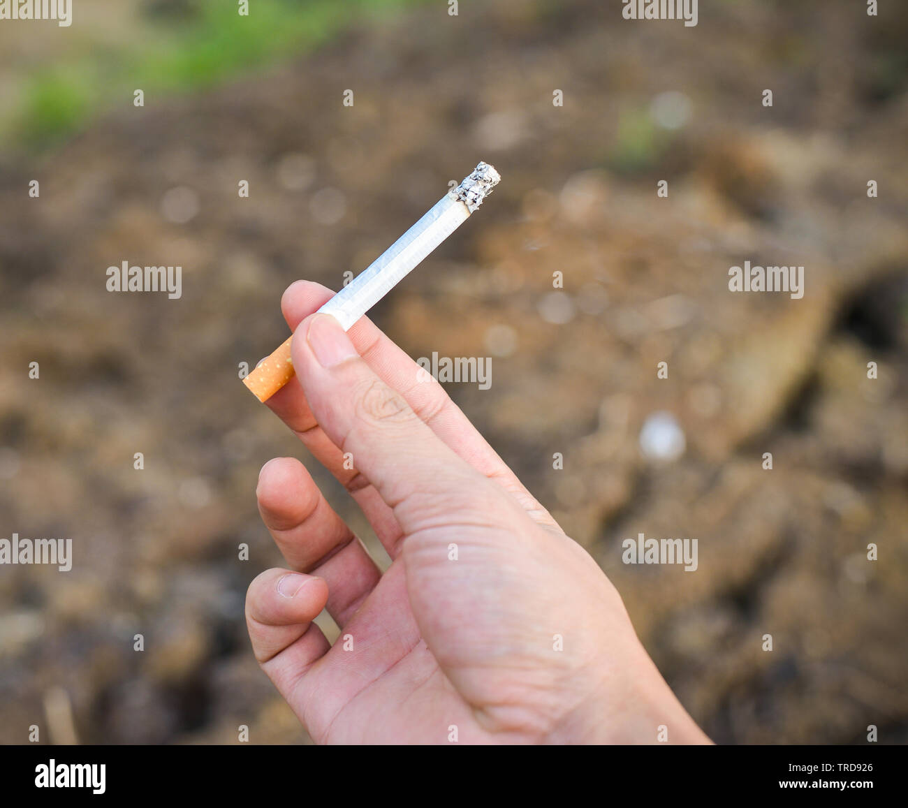 Man breaking cigarettes not woman hi-res stock photography and images ...