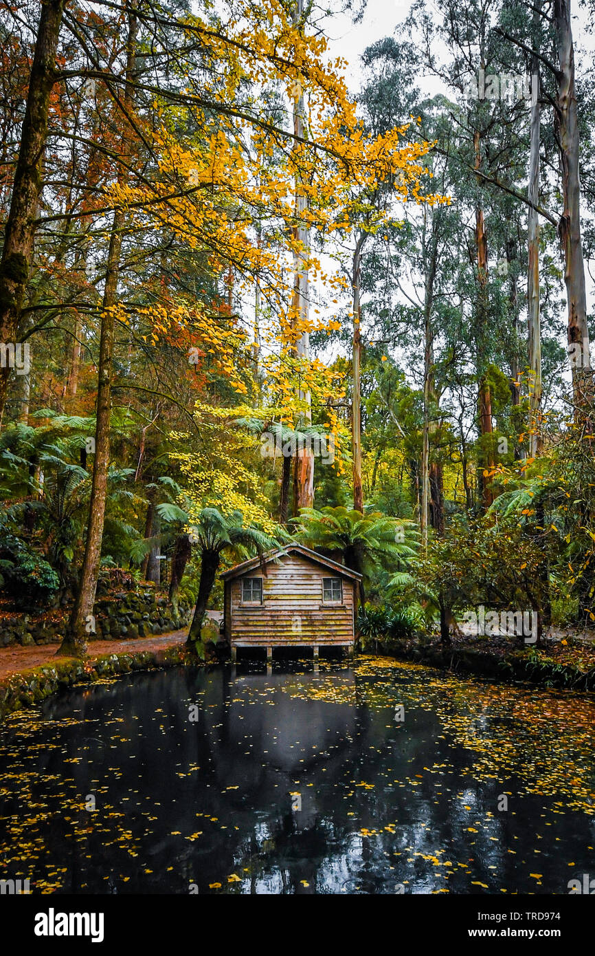 Palm leaf hut hi-res stock photography and images - Alamy