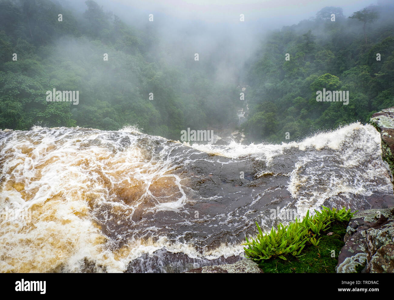 River forest flow view on top cliff high waterfall stream and forest ...