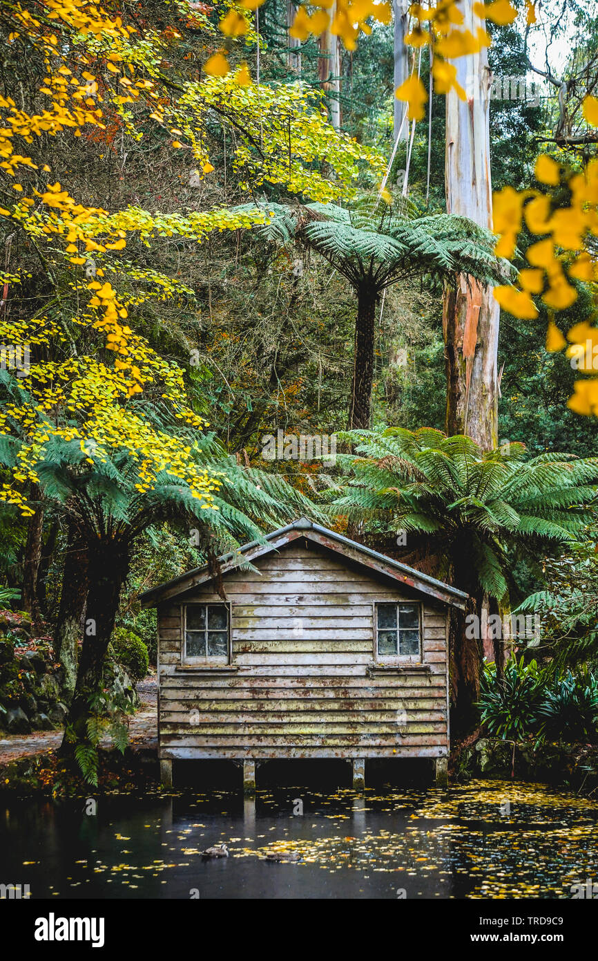 Palm leaf hut hi-res stock photography and images - Alamy