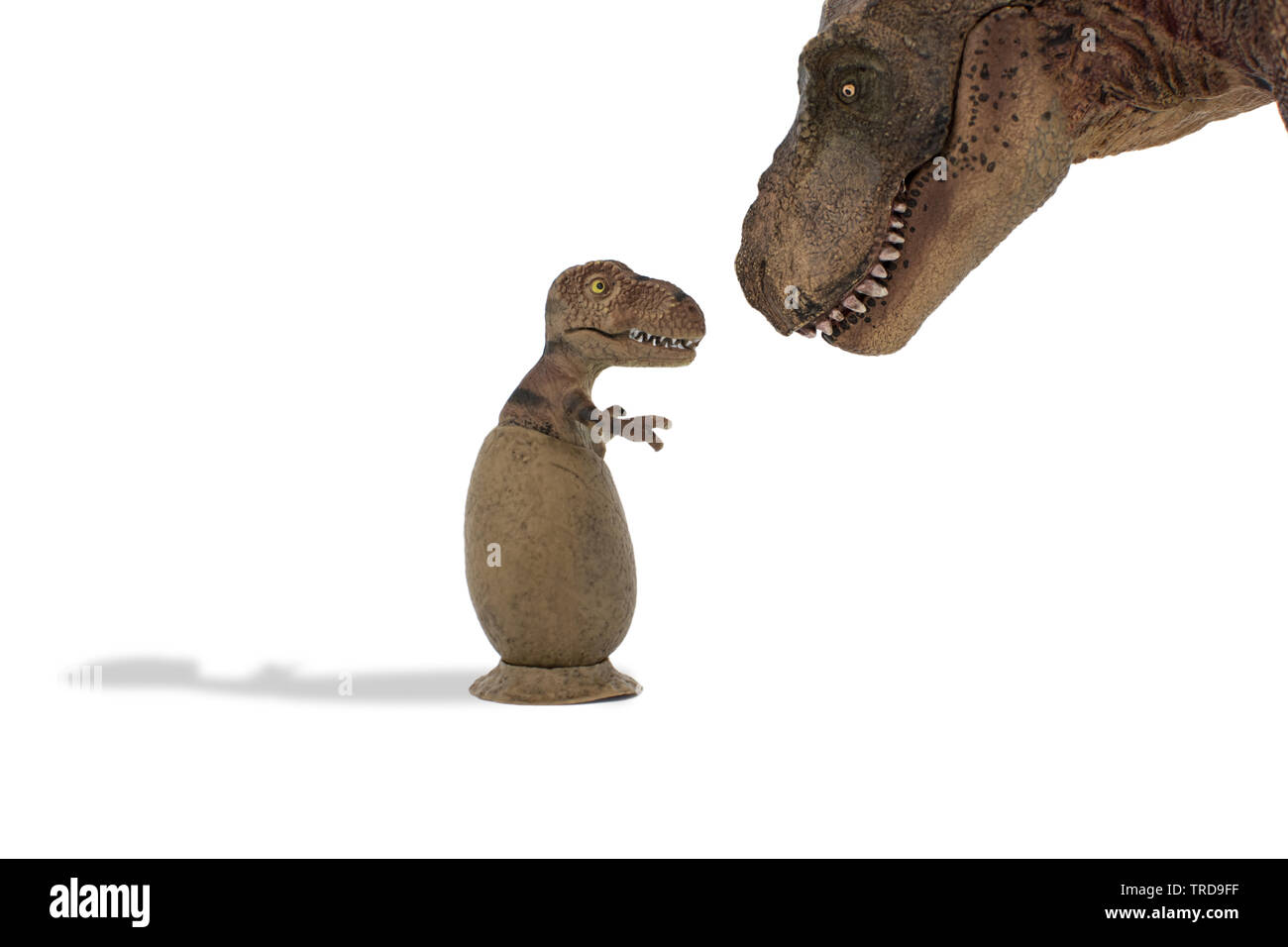 Sweet baby tyrannosaurus rex into egg with lovely tyrannosaurus rex ...