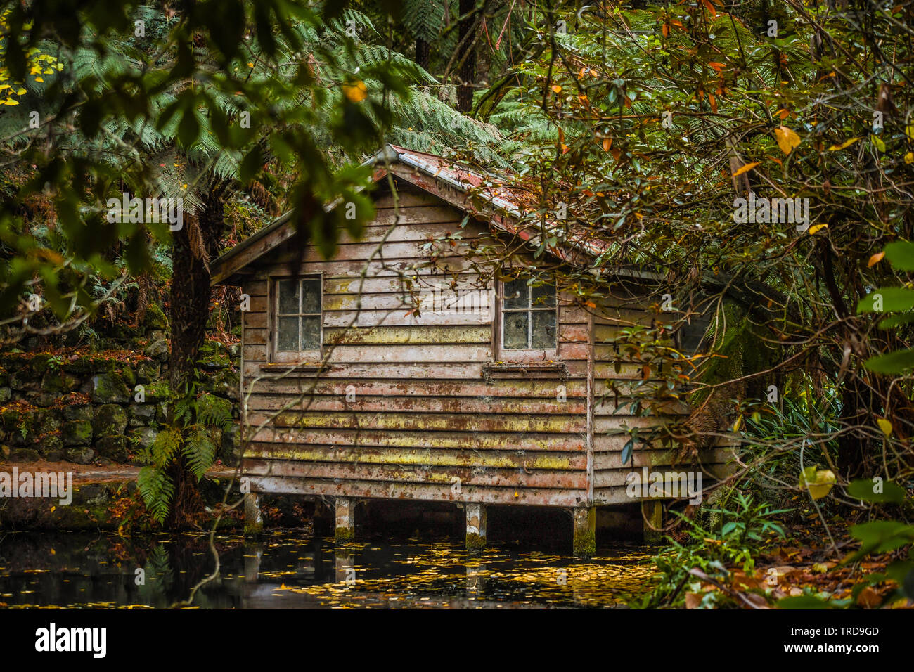 Palm leaf hut hi-res stock photography and images - Alamy
