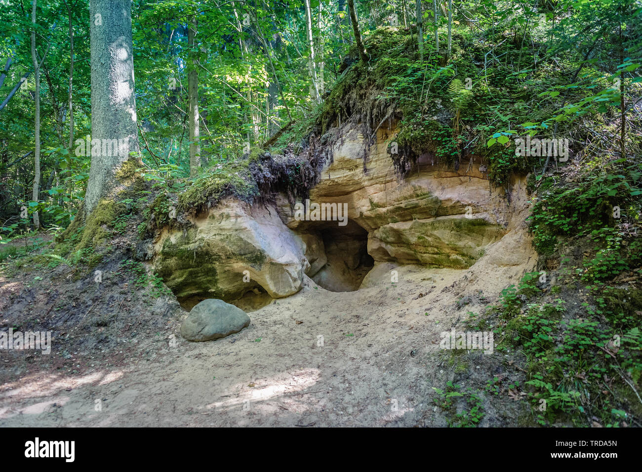 Entrance to the cave, Cirulisi nature trails. Latvia. Baltic. Summer ...