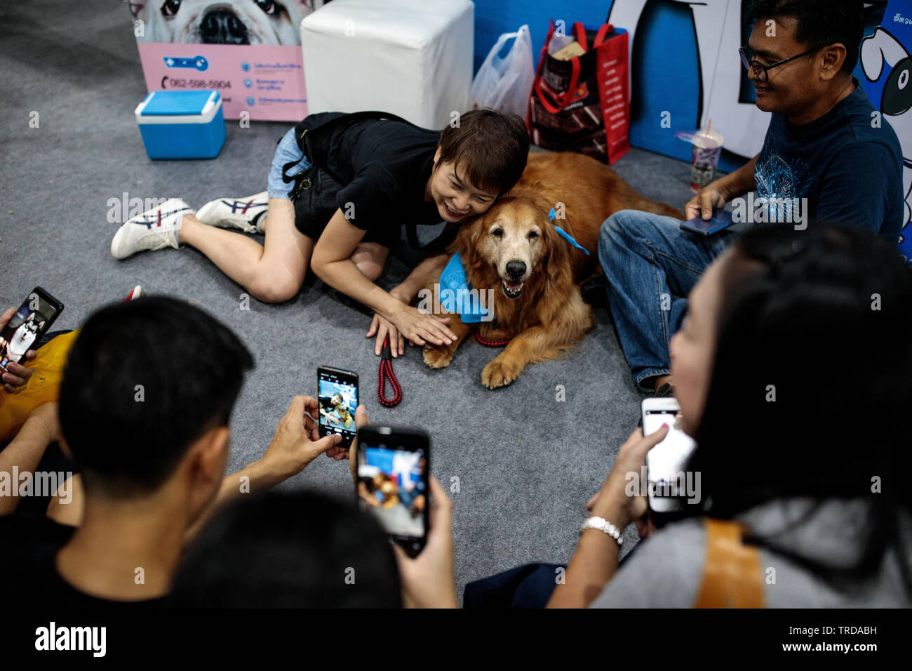 Animals and their owners attend the Pet Expo fair in Bangkok Stock ...
