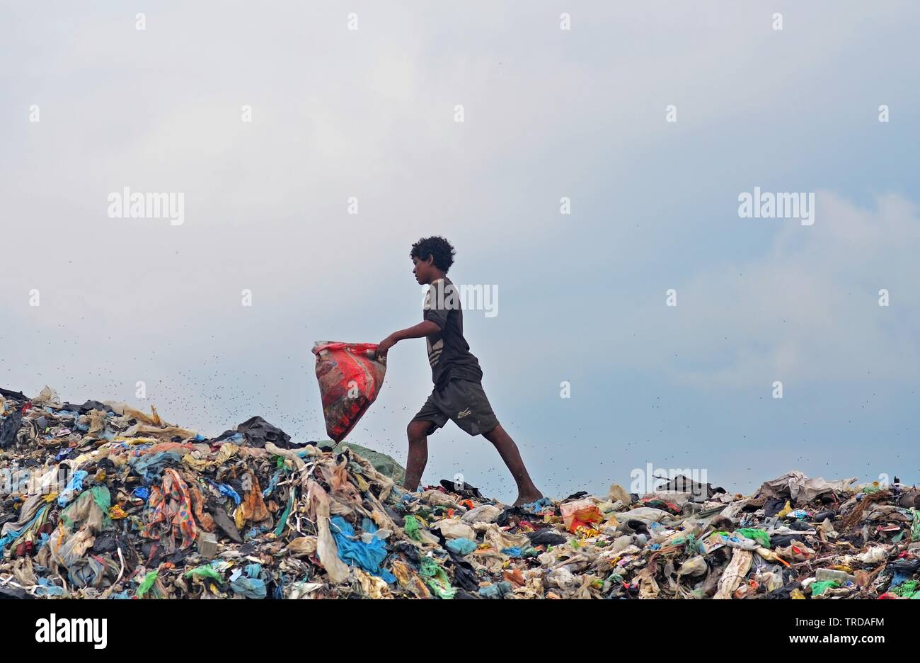 Waste picker hi-res stock photography and images - Alamy