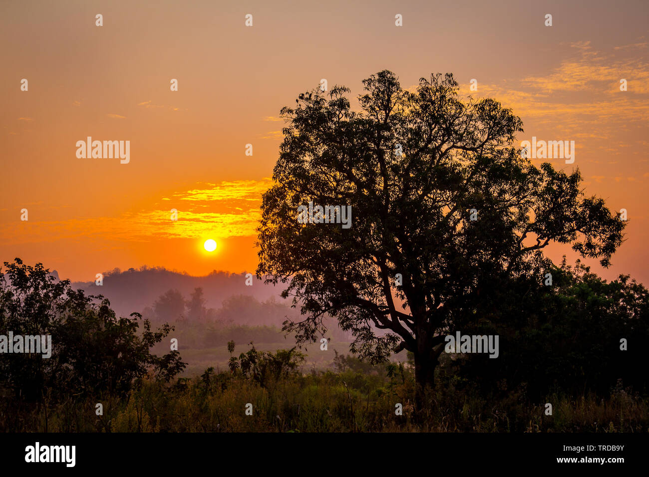 Sun sunrice hi-res stock photography and images - Alamy