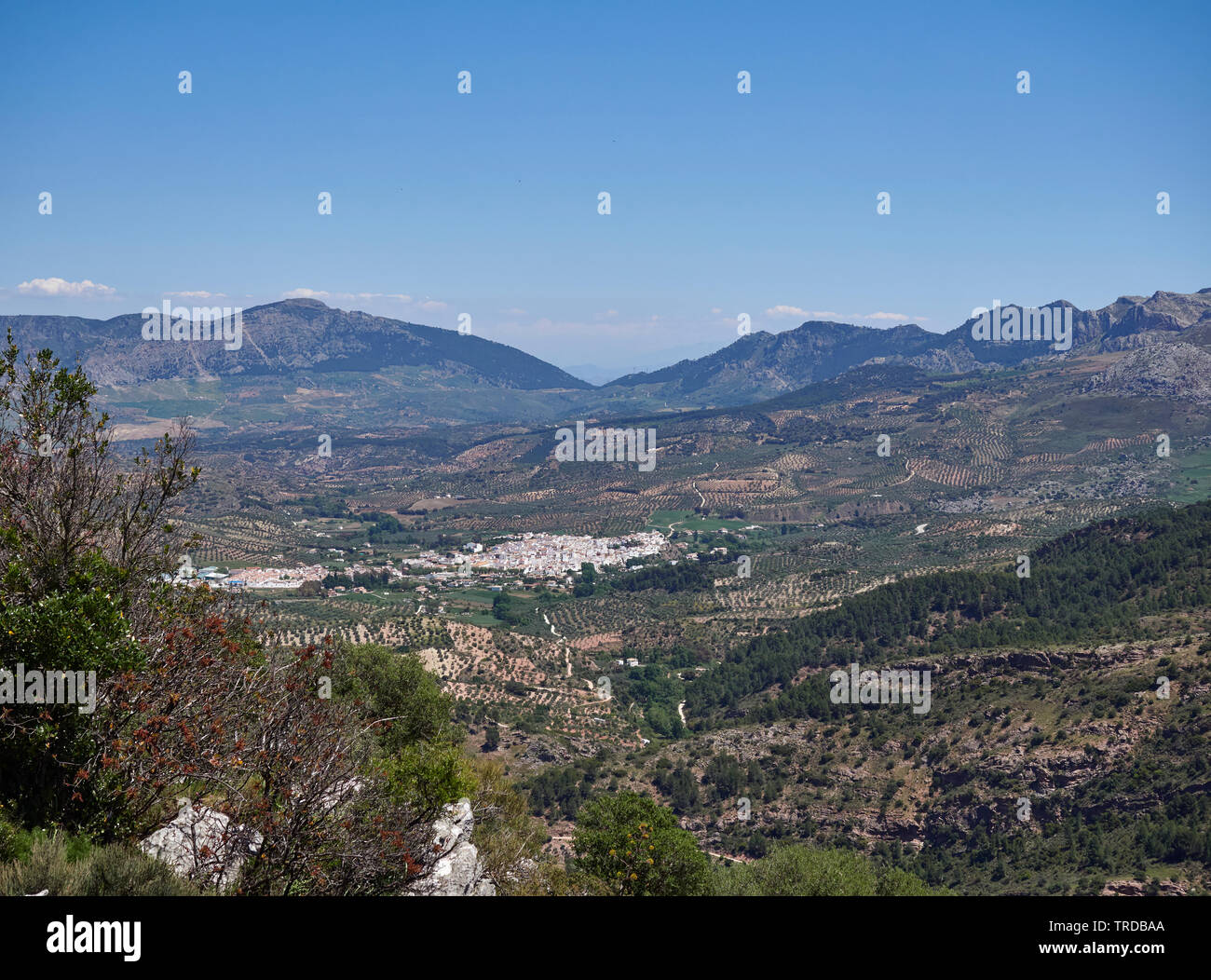 El Burgo Town, seen from a Viewpoint high up in the Sierra de las ...