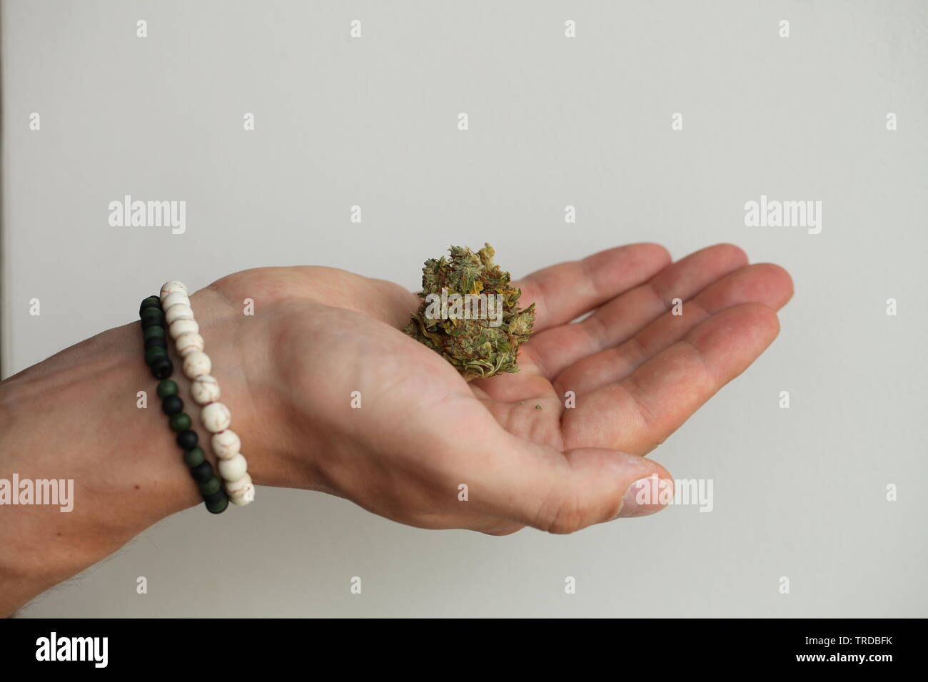 dry medical cannabis marijuana hand Stock Photo - Alamy
