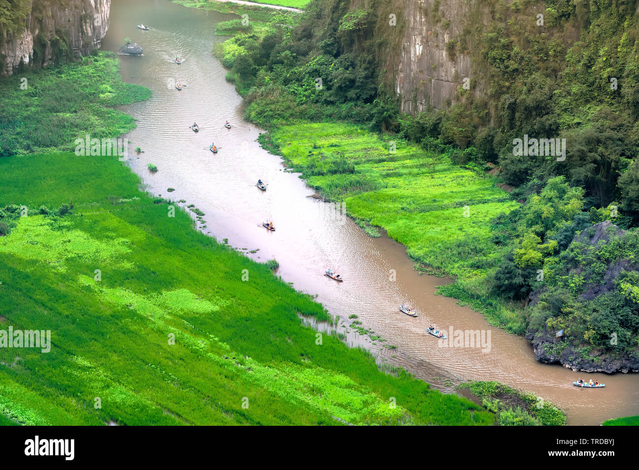 Tourist ride boat for sight seeing rice field on Ngo Dong river at Tam Coc, Ninh Binh, Vietnam ...