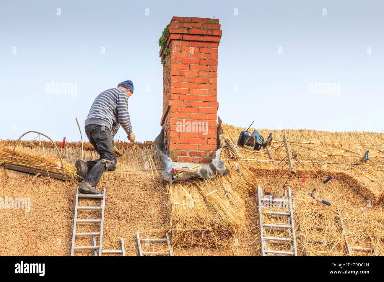 roof thatcher at work, burton bradstock picturesque village, dorset ...