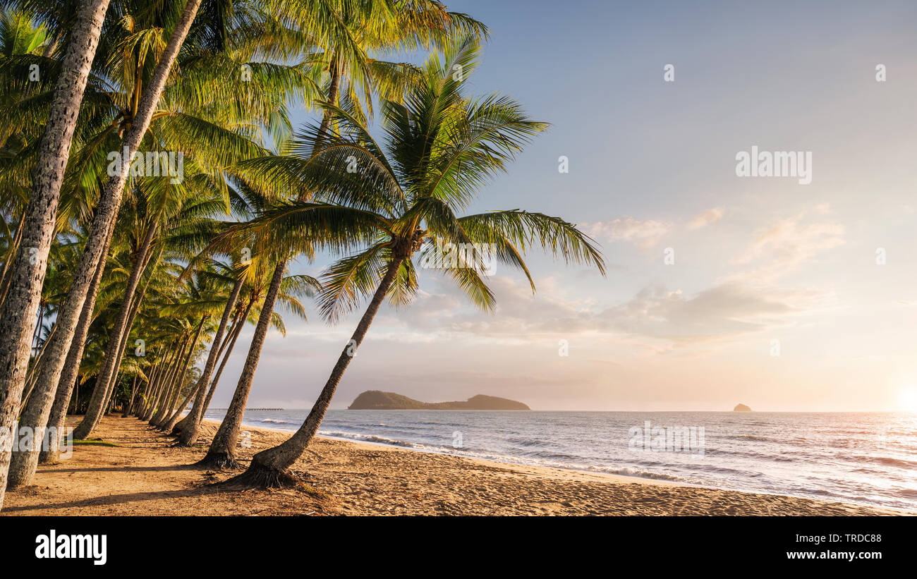 Panoramic view of an empty tropical beach at the sunrise with copy ...