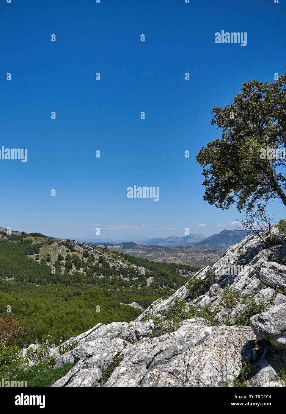Mirador del guarda forestal hi-res stock photography and images - Alamy