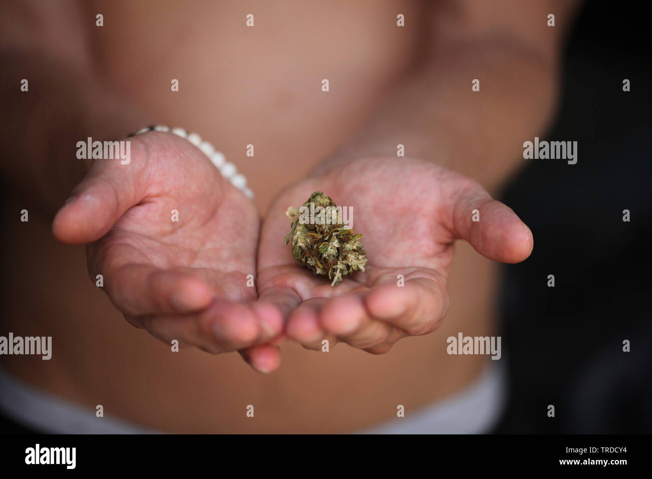 dry medical cannabis marijuana hand Stock Photo - Alamy