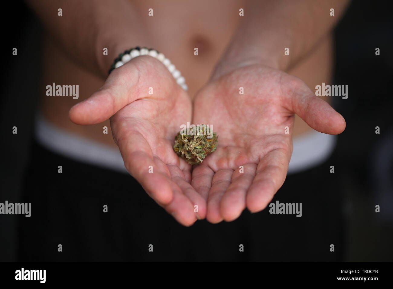 dry medical cannabis marijuana hand Stock Photo - Alamy