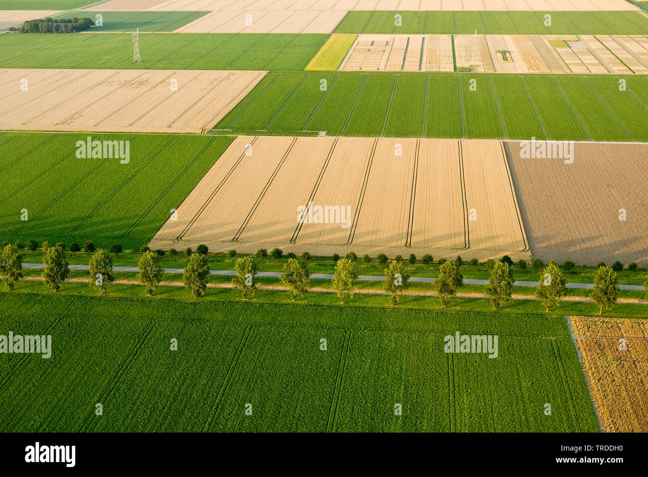 field landscape in North Holland, aerial photo, Netherlands, Northern ...