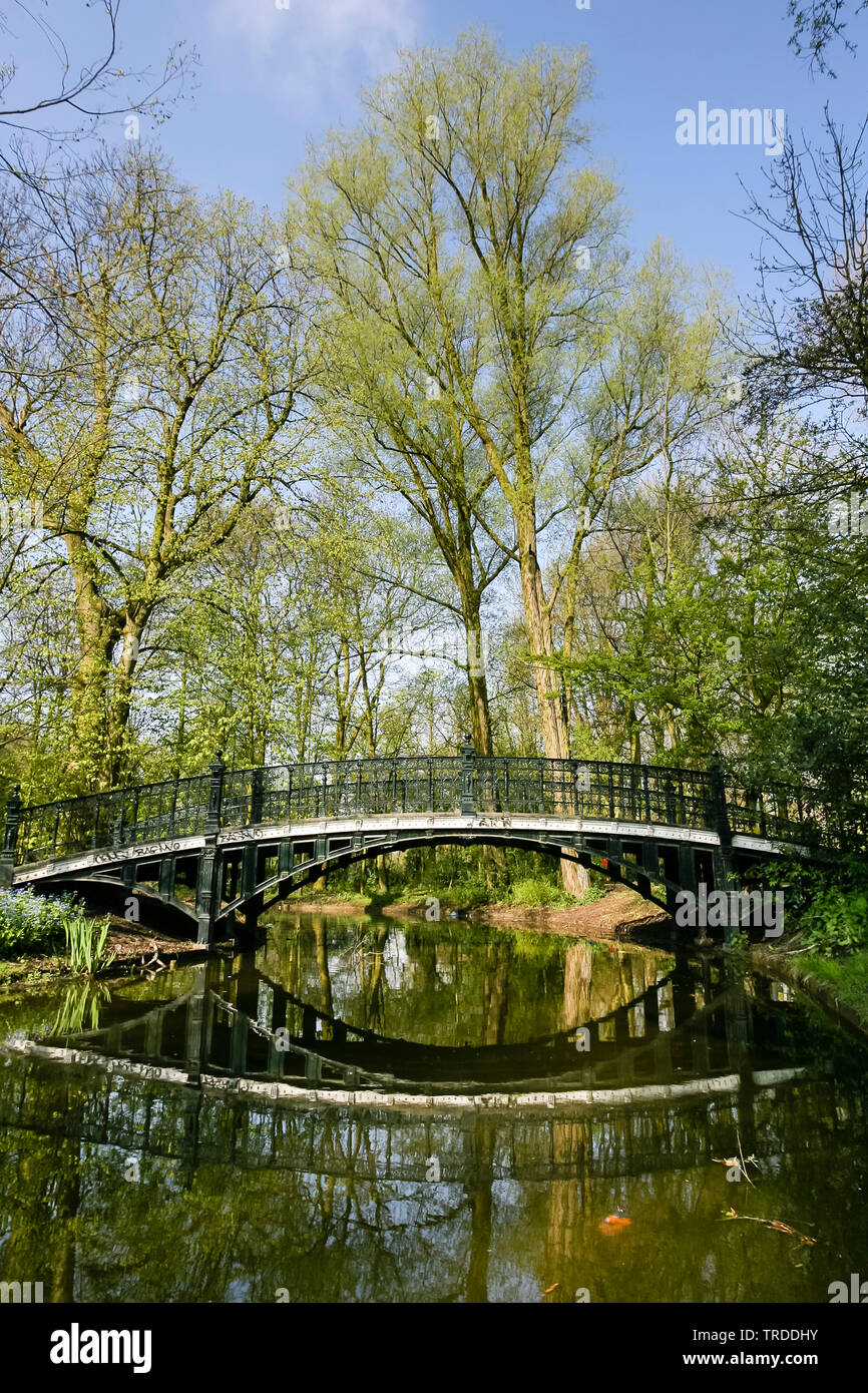 bridge in a city park in Amsterdam in spring, Netherlands, Northern ...