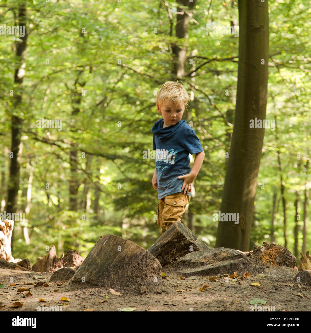 Boy playing in woods hi-res stock photography and images - Alamy