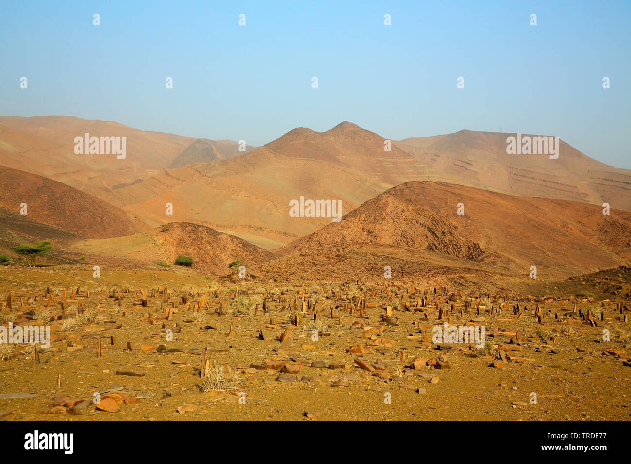 African cemetery hi-res stock photography and images - Alamy