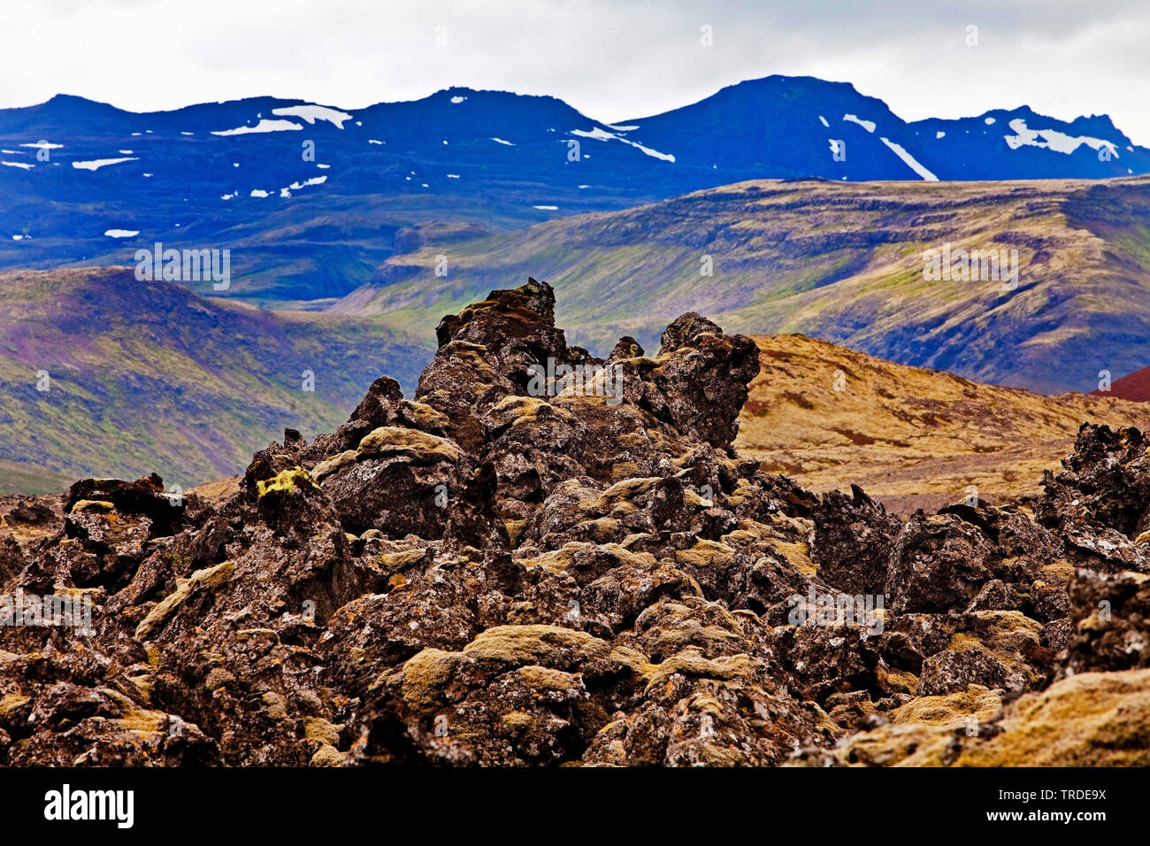 lava field Berserkjahraun, Iceland, Vesturland, Snaefellsnes Stock ...