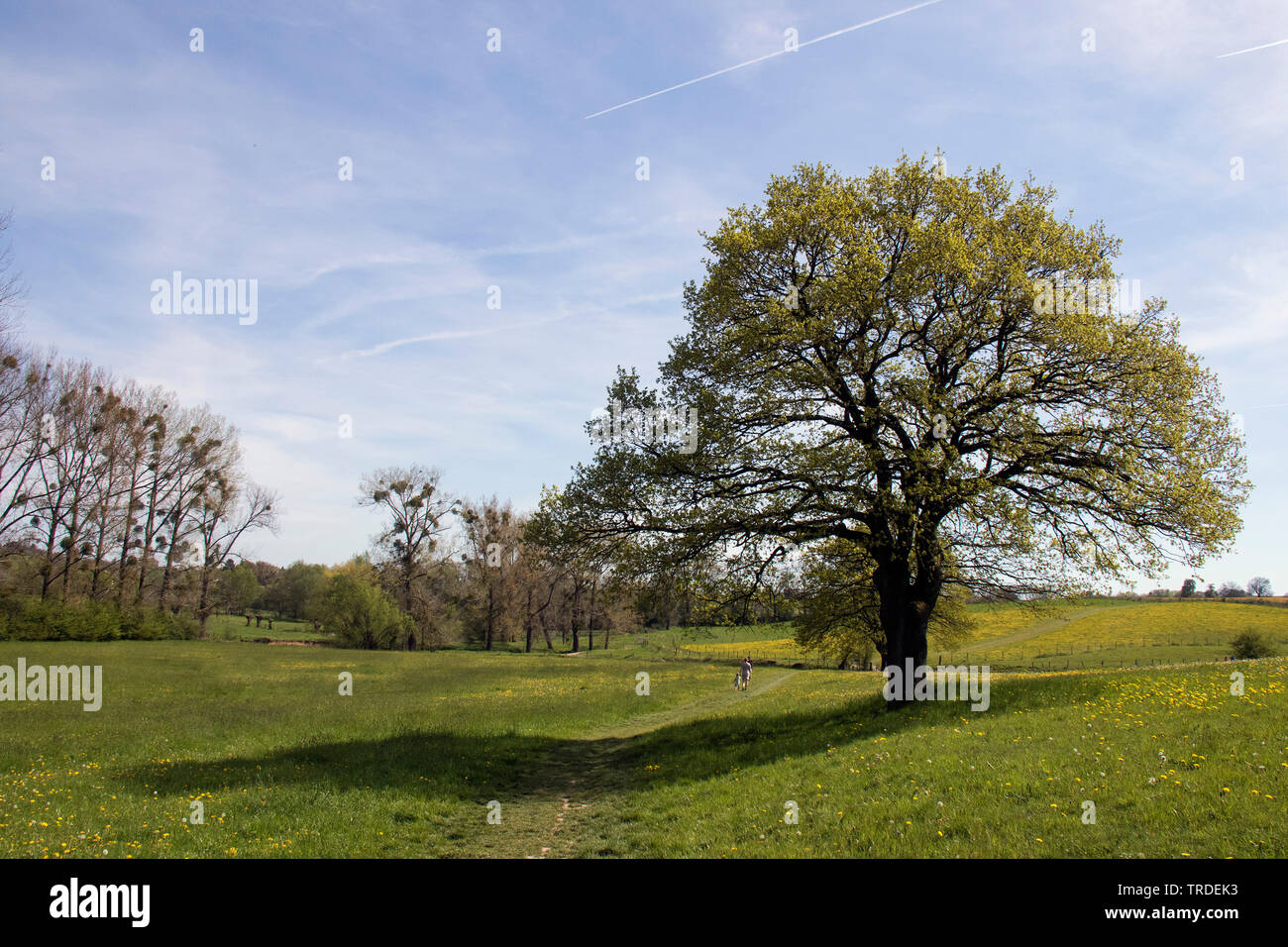 Child landscape hi-res stock photography and images - Alamy