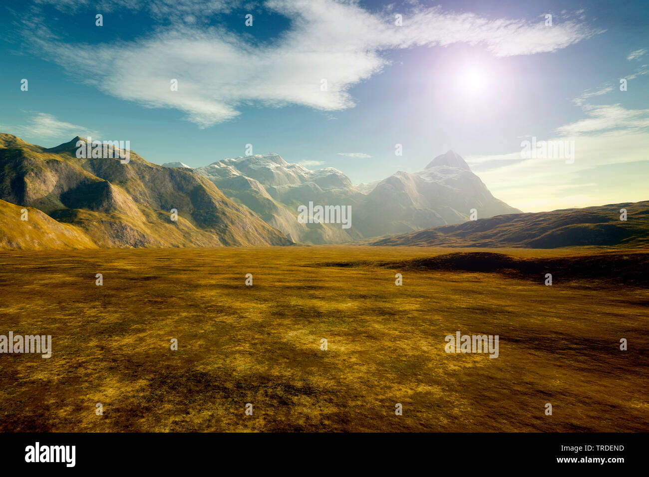 Virtual scenery hi-res stock photography and images - Alamy