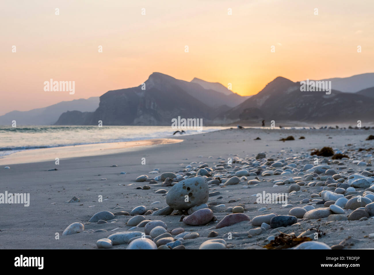 Omani sunset scenery hi-res stock photography and images - Alamy