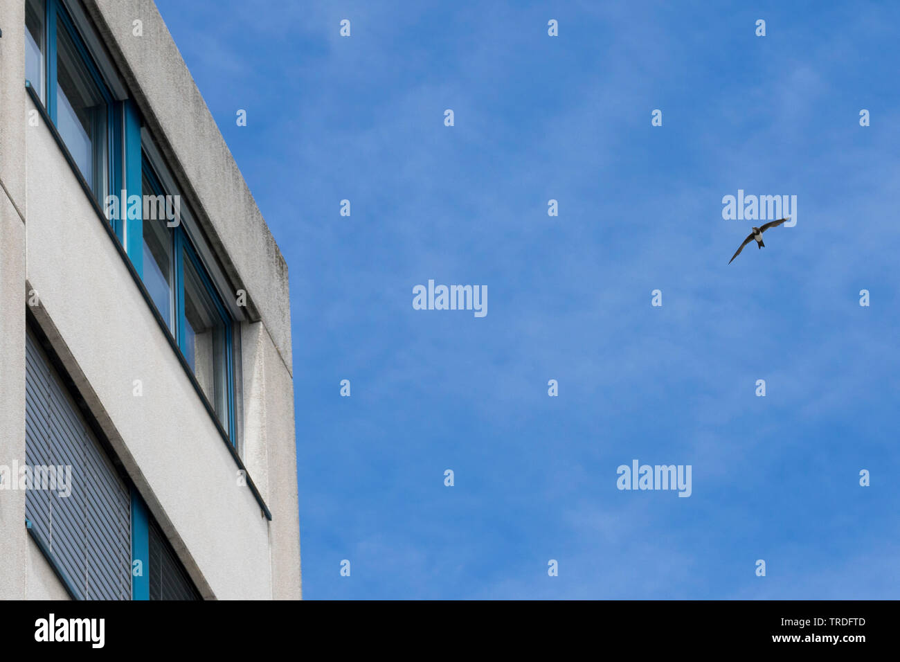 Breeding site hi-res stock photography and images - Alamy