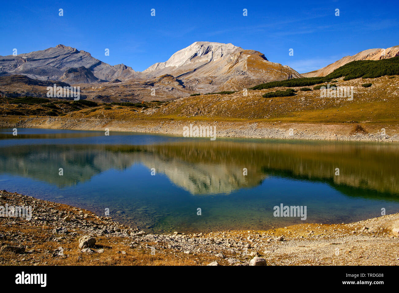 Lago limo hi-res stock photography and images - Alamy